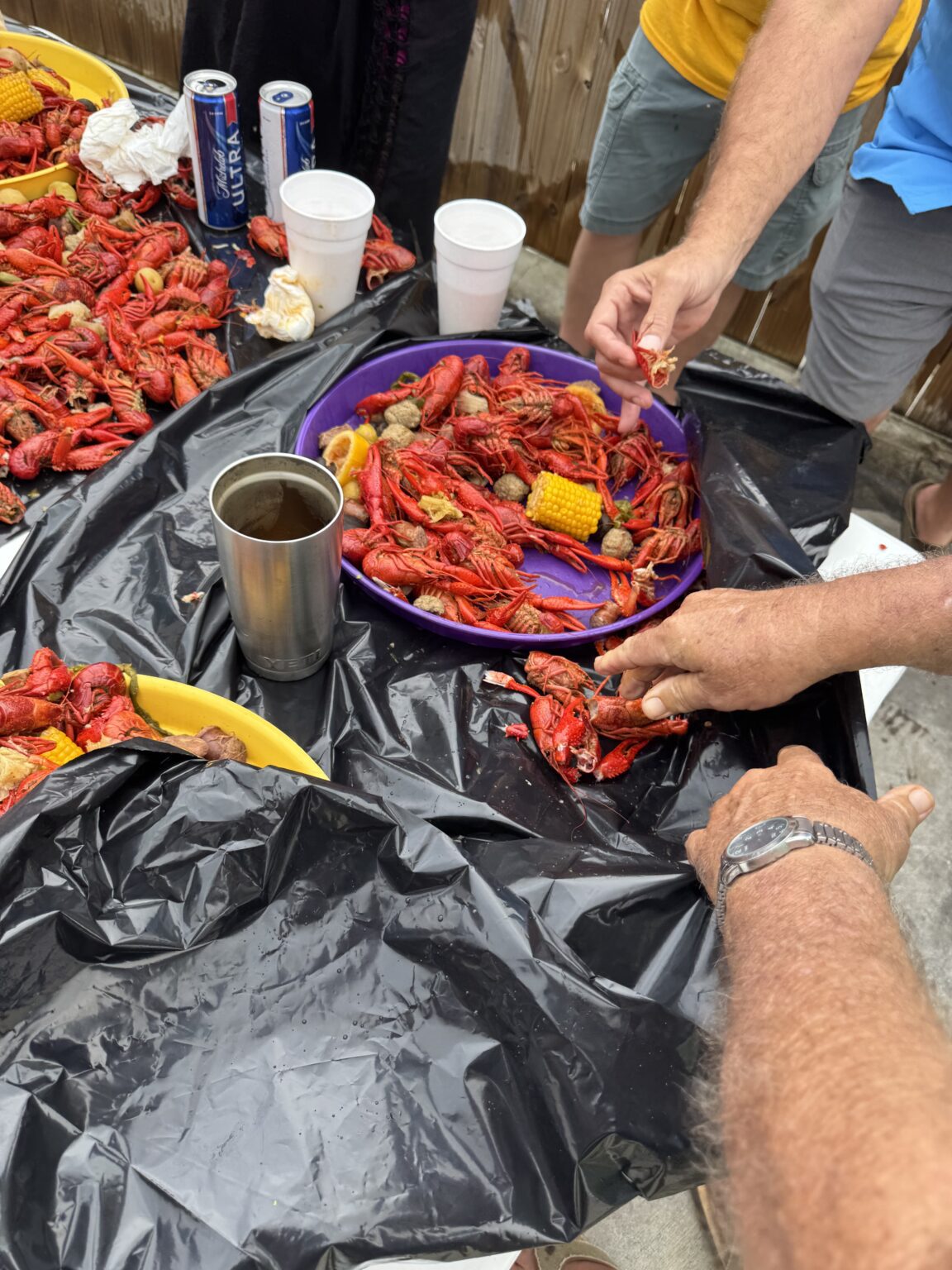 The Ultimate Guide to Crawfish: From Farm to Feast - RetireCoast.com