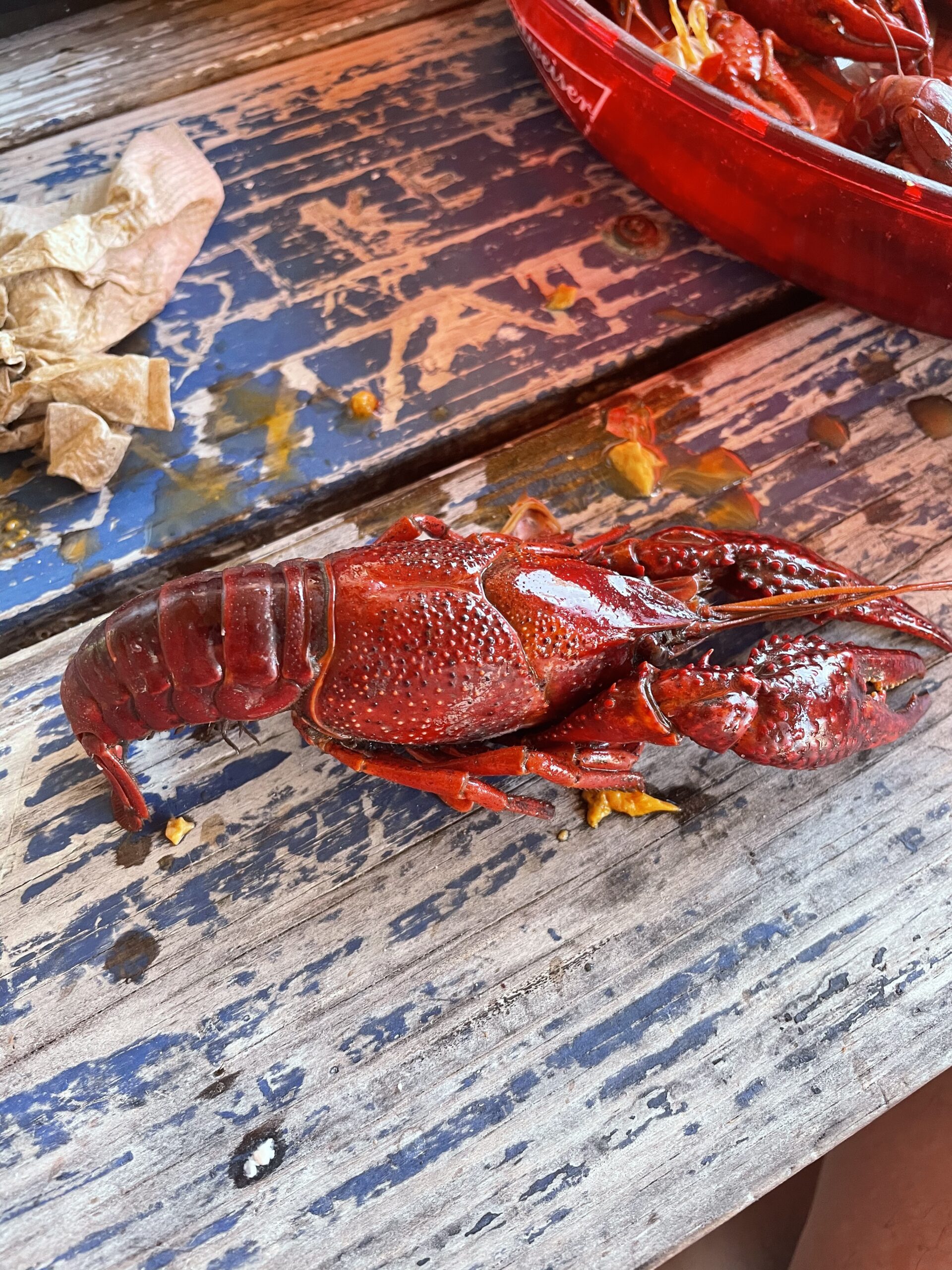 The Ultimate Guide to Crawfish: From Farm to Feast - RetireCoast.com